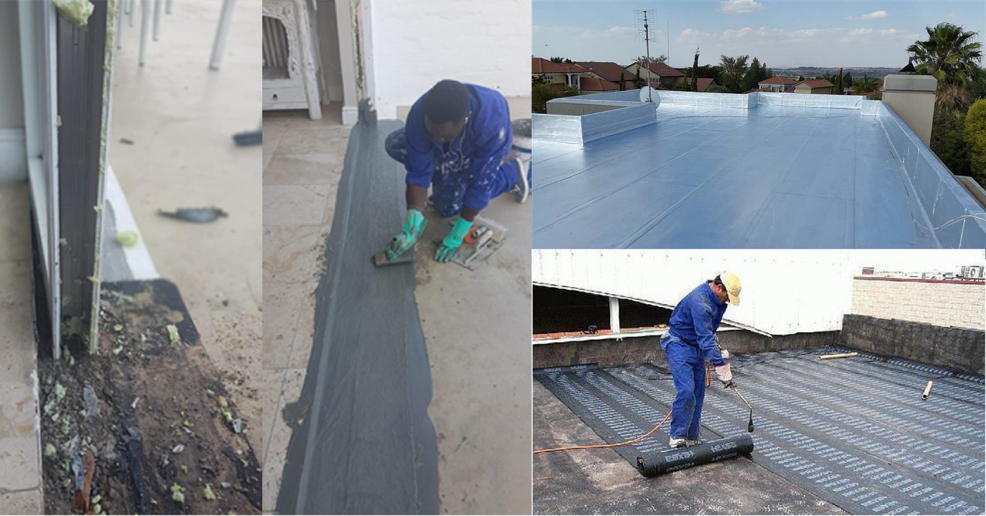 SERVICES – BuildCure